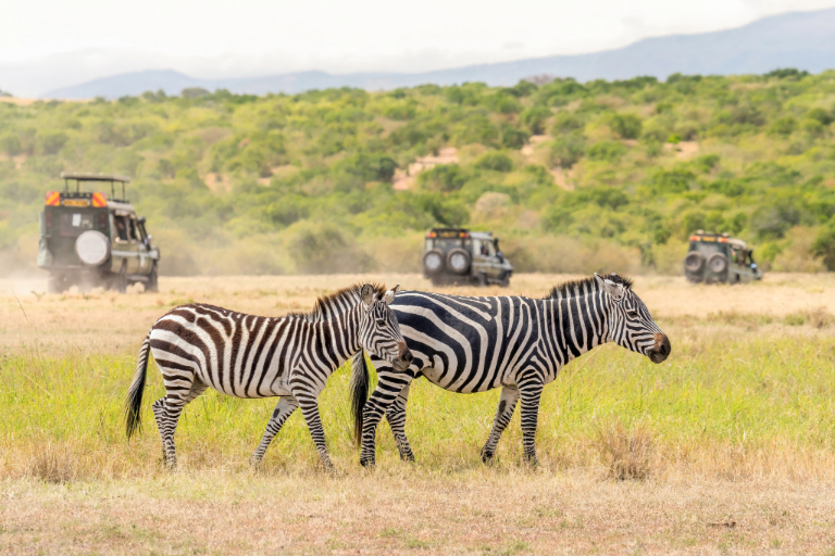 African Scenic Safaris, African Scenic Safaris